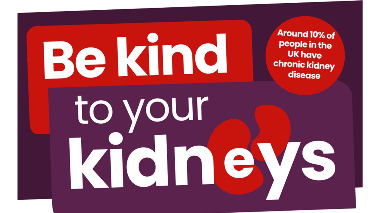 Pilot programme aims to identify kidney disease early and offer better ...